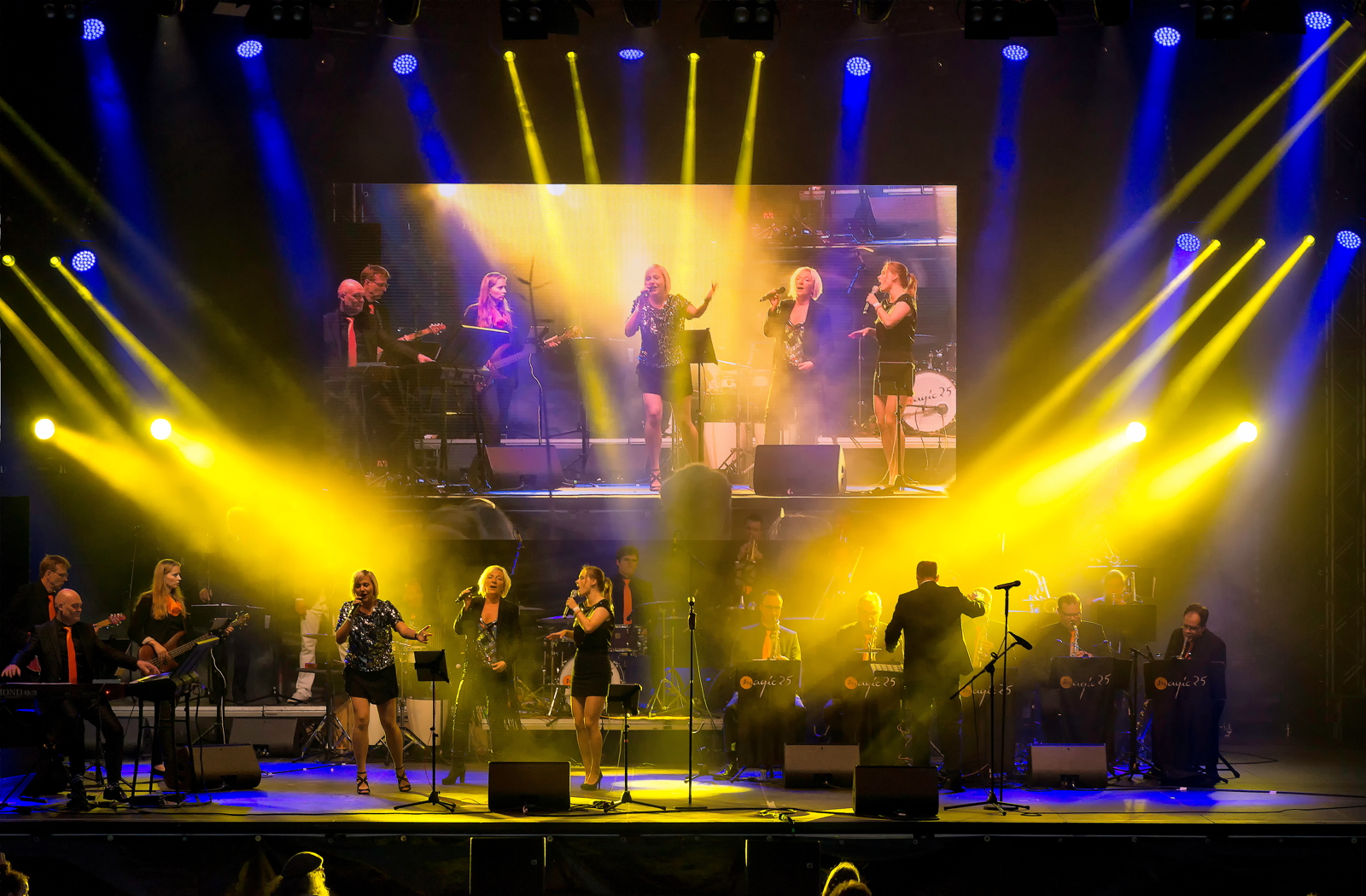 Musik und Show - Schleswig-Holstein Netz Cup